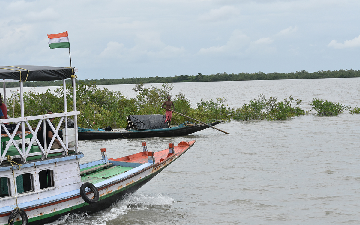 Sundarban Tour